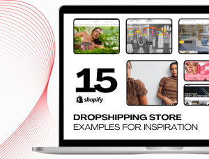 15 Shopify Dropshipping Store Examples for Inspiration